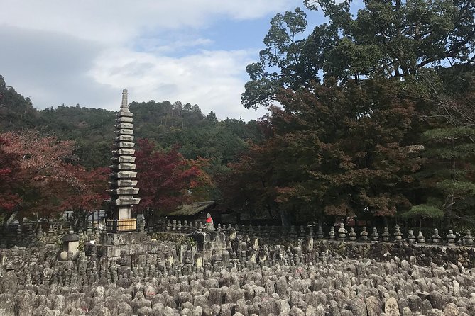 Kyoto: Descending Arashiyama (Private) - Taking in the Sagano Bamboo Grove