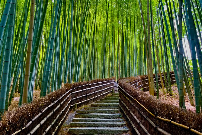 Kyoto Early Morning Walking Tour: Nature & History - Participant Information and Customer Reviews