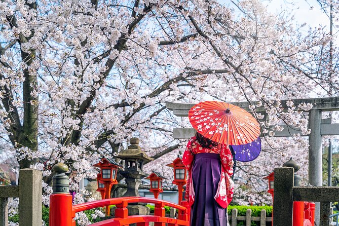 Kyoto Full Day (8 Hours) Ultimate Sightseeing Private Tour - Planning Your Sightseeing Itinerary