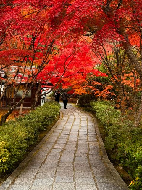 Kyoto: Fully Customizable Your Own Tour in the Old Capital - Unparalleled Local Expertise