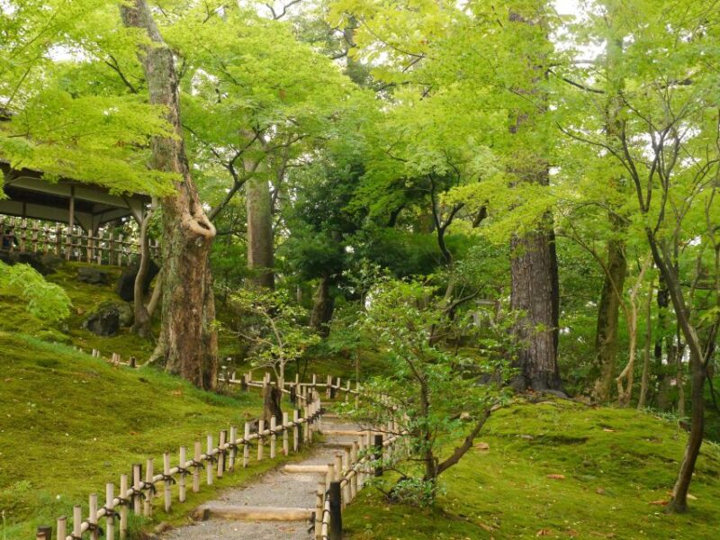Kyoto: Historic Higashiyama Walking Tour - Experiencing the Tour Atmosphere