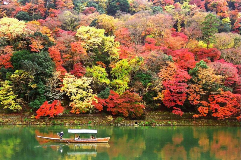 Kyoto: Japanese Gardens Private Customizable Tour - Discovering the Zen Gardens of Kinkakuji Temple