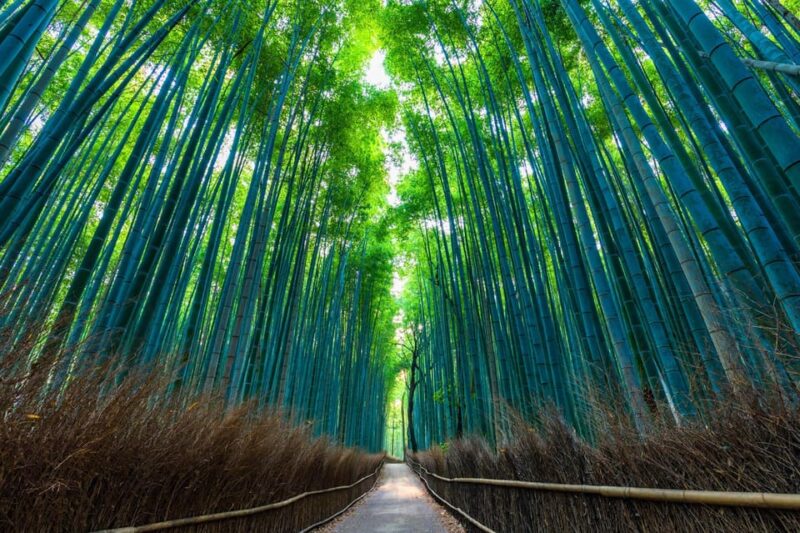 Kyoto: Private Customizable Day Trip by Car - Frequently Asked Questions