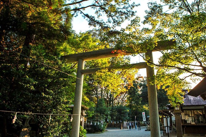 Kyushu Tour of Shrines Sakura Gorges and Landmarks From Fukuoka - Traveler Feedback