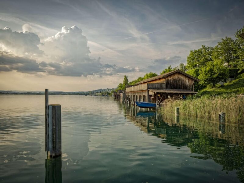 Lake Hallwil: Round Trip and 1-Day Ticket for Lake Hallwil - Birdwatching in the Nature Reserves