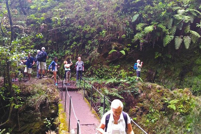 Levada Do Caldeirão Verde Levada Walk From Funchal - Feedback and Ratings for the Levada Do Caldeirão Verde Levada Walk