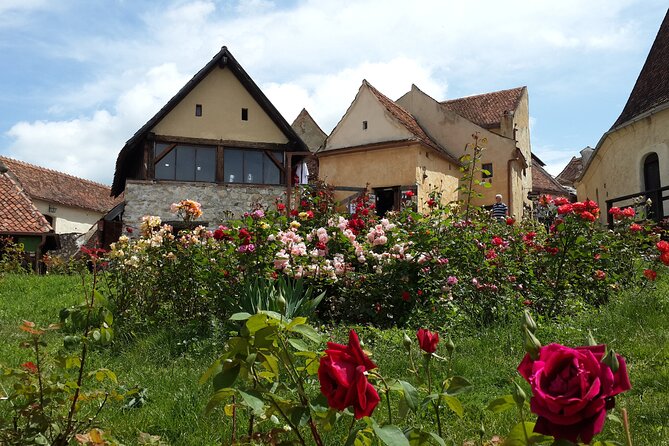 Libearty Brown Bear Sanctuary, Rasnov Fortress, Bran Castle Day Tour From Brasov - Traveler Reviews