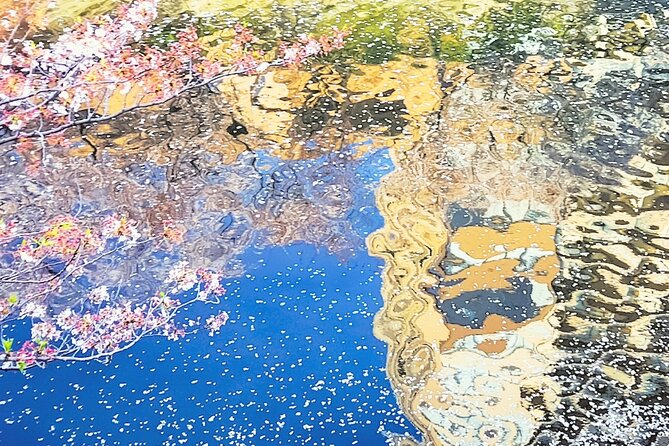 Licensed Guide Tokyo Meguro Cherry Blossom Walking Tour - Customer Feedback and Host Response
