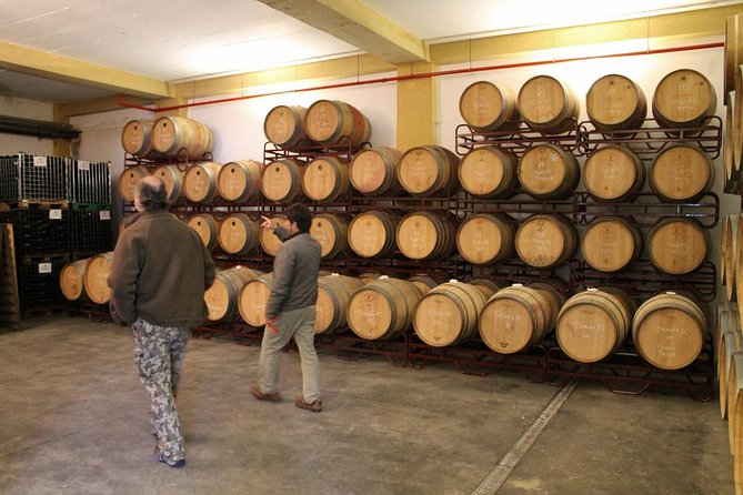 Lisbon Southern Region (Fernão Pó) Wine Tasting Private Tour - Savoring Local Gastronomy and Traditions