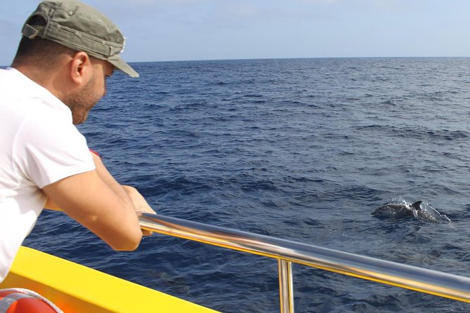 Lobos Island - the Dolphin Route - Customer Feedback and Insights