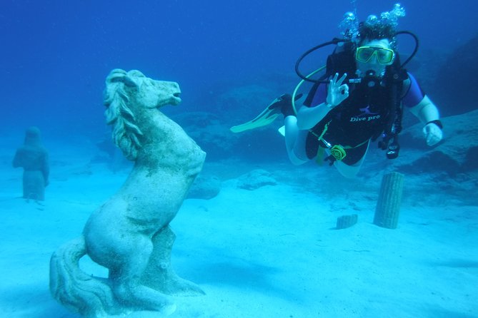 Local Guided Dives (For Certified/Licensed Divers) - Customer Feedback