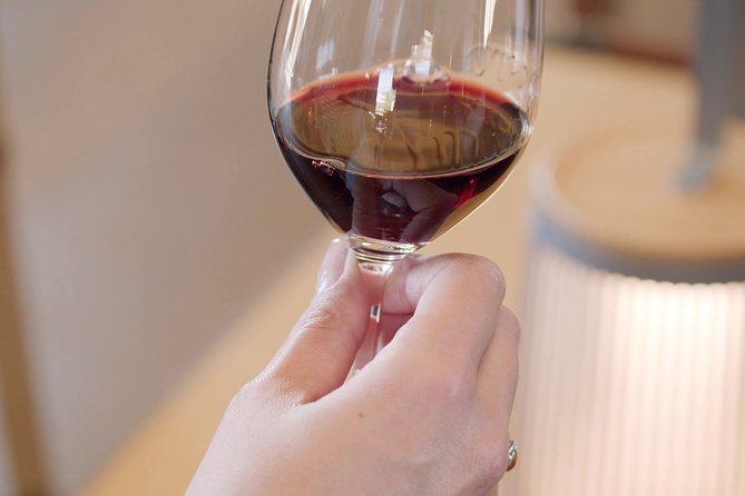 Luxurious Full Day Bordeaux Wine Tour in a Tesla - Customizing Your Itinerary