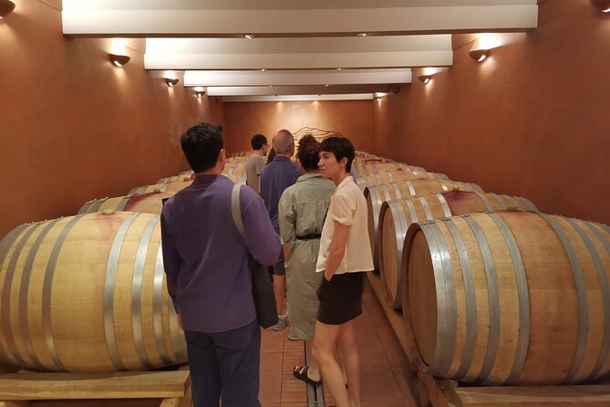 Marseille Shore Excursion - Full Day Wine Tour in Provence - Convenient Transportation and Port Transfers
