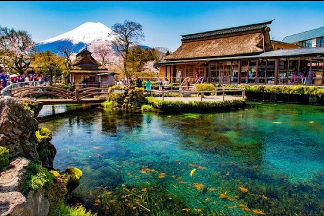 Mount Fuji Day Trip From Tokyo With Scenic Views - Traveler Experiences and Feedback