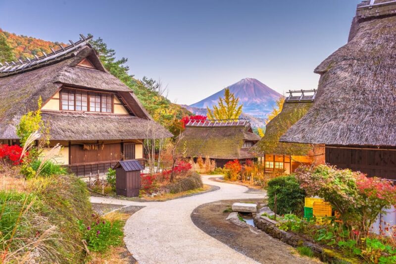 Mount Fuji: Exclusive Private Car Tour - Customization Options
