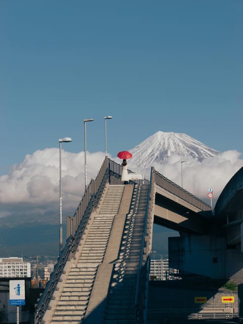 Mount Fuji Private Full Day Tour From Tokyo by Car or Van - Customizable Experiences
