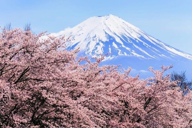 Mt. Fuji and Lake Kawaguchi Day Trip With Guide - Common Questions