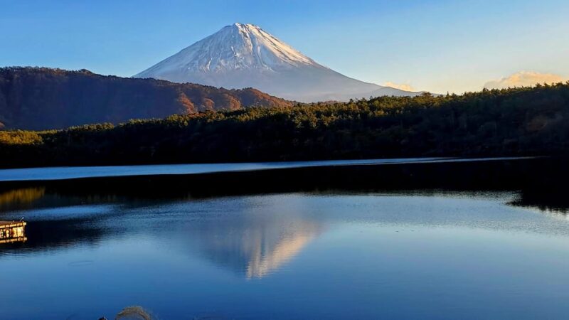 Mt Fuji & Hakone Tour Bullet Train Return GREEN NUMBER PLATE - Cultural Discoveries