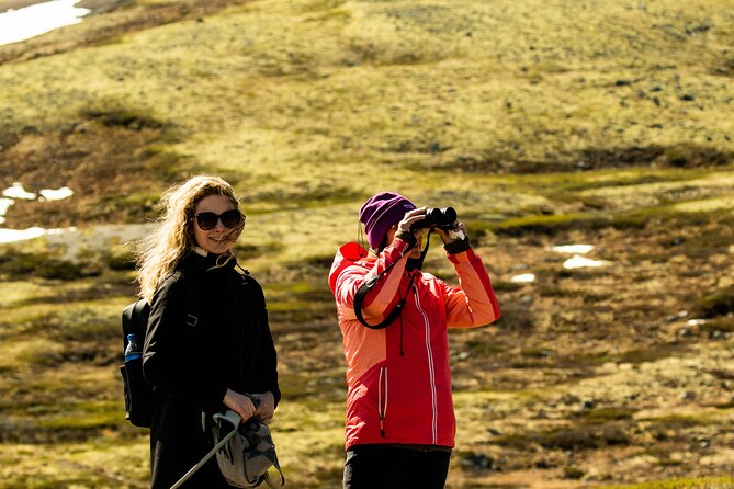 Muskox Safari From Hjerkinn | Dovre & Lesja Aktiv - Customer Feedback and Highlights