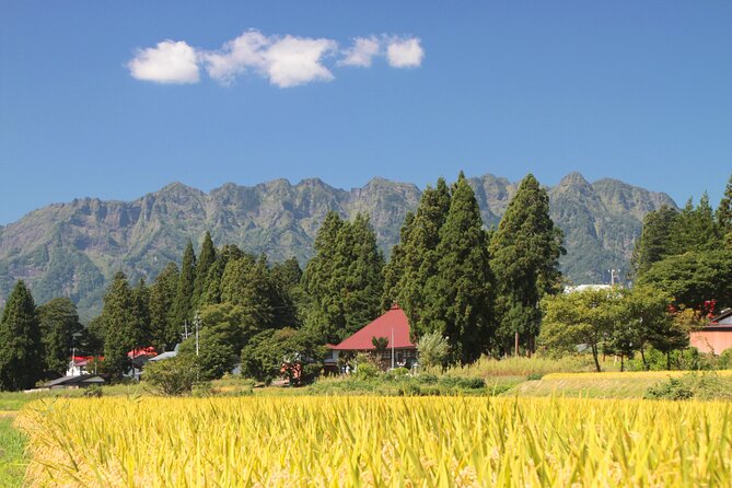 Nagano All Must-Sees 4hr Private Tour With Licensed Guide - Traveler Experiences