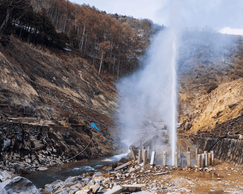 Nagano/Myoko: Snow Monkey & Hot Spring Retreat Private Tour - Customer Experience