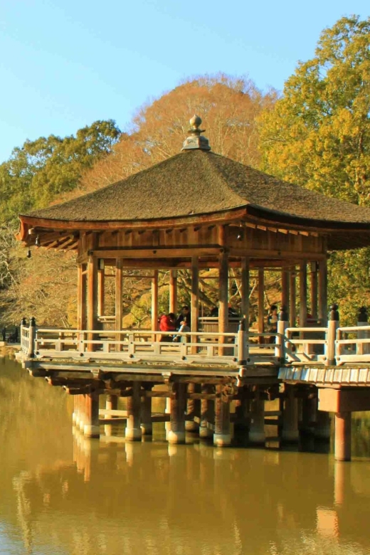 Nara: Heart of Nature Temple, Forest, & Waterfall Bike Tour - Discovering Uguisunotaki Waterfall