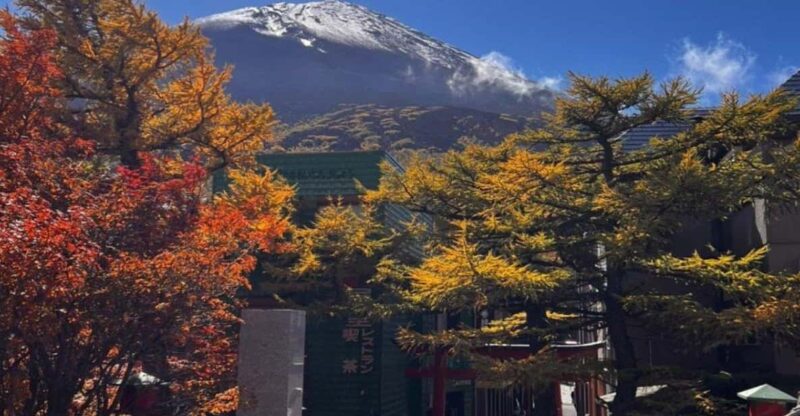 Nikko Private Tour With English Speaking Driver - Frequently Asked Questions