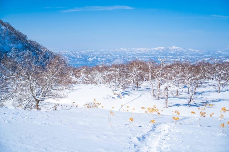 Noboribetsu: Orofure Pass Snowshoeing Tour - Relishing the Panoramic Views