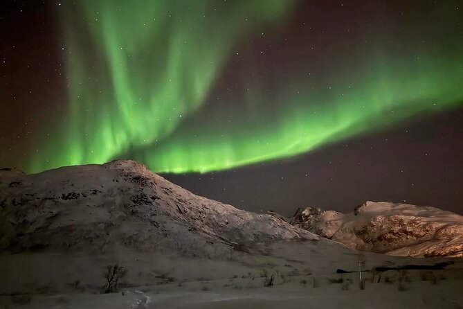 Northern Lights Tour With Hot Food and Drinks in Tromso - Photography Tips