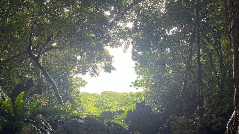 Okinawa: Full-Day Bus Tour to Yanbaru National Park - Frequently Asked Questions