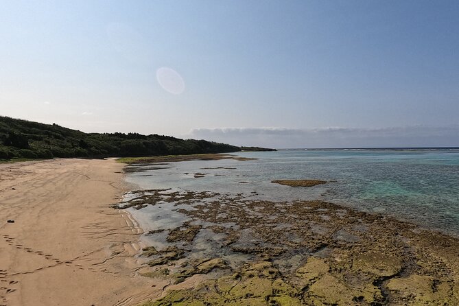 Okinawas Gorgeous Beach & Snorkel Tour: Private & Customised - Customise Your Tour Experience