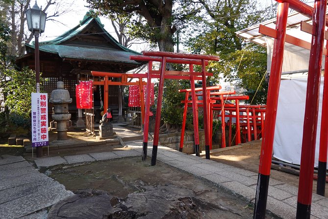 Old Town Tokyo: Shinagawa-Juku Walking Tour - Traveler Reviews and Recommendations