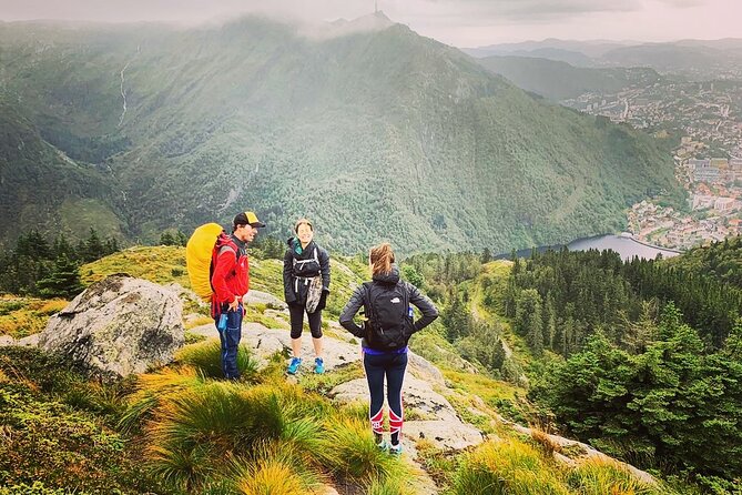 On Top of Bergen - Public Tour - Planning Your Visit