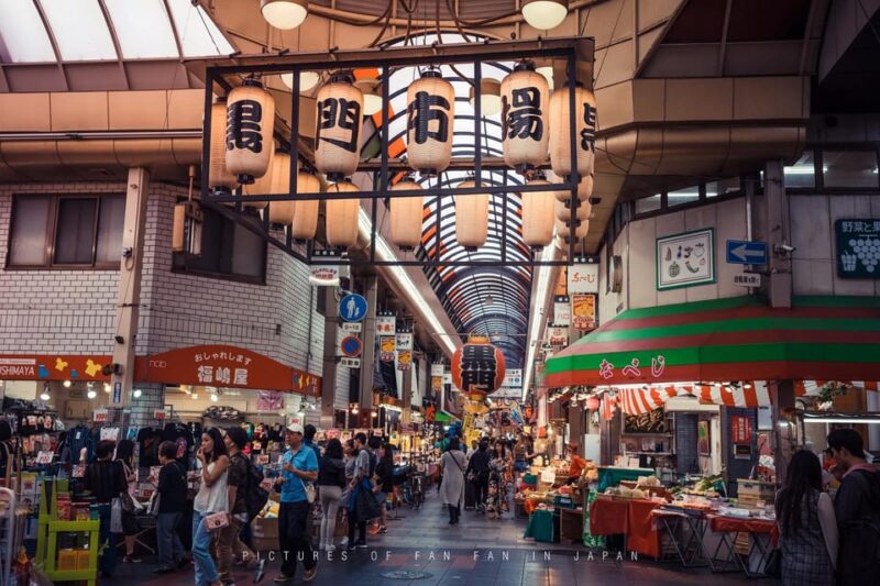 One Day Private Customized Self-Guided Tour in Osaka - Tour Logistics and Flexibility