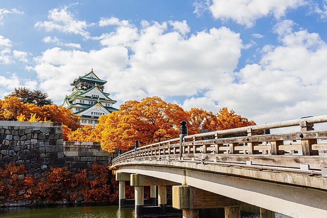 Osaka 6 Hr Private Tour: English Speaking Driver Only, No Guide - Accommodating Dietary Restrictions