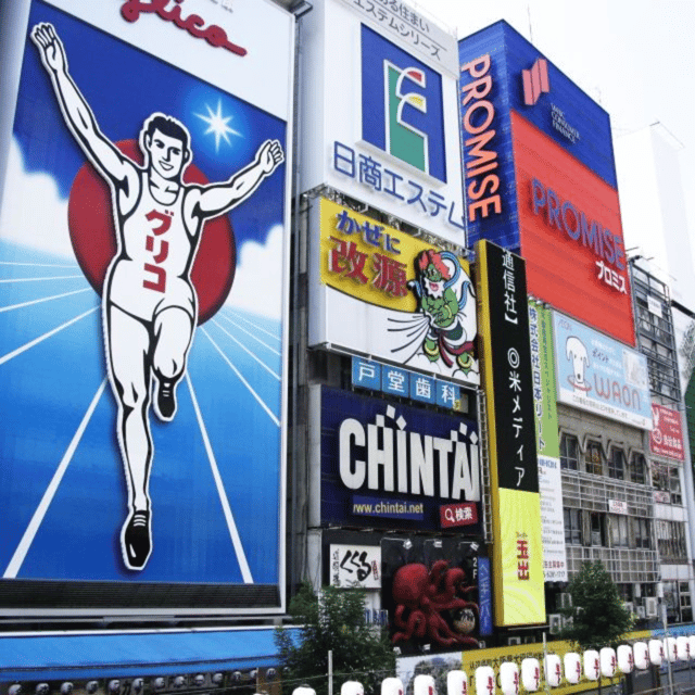 Osaka: Private Customizable Tour By English Speaking Driver - Important Information and Guidelines