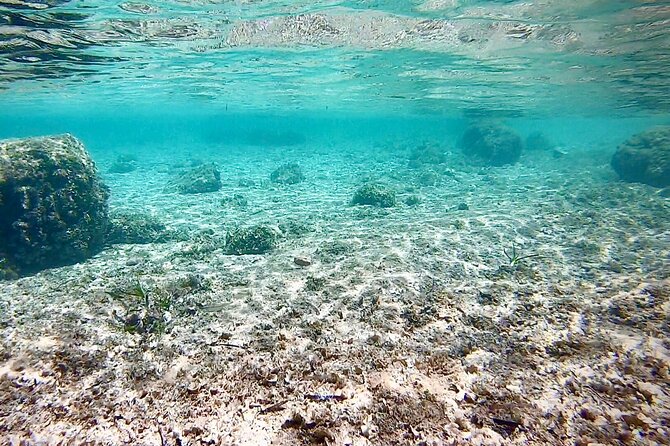 Palma: Boat Trip in Mallorca and Snorkel for Private Group - Recommendations