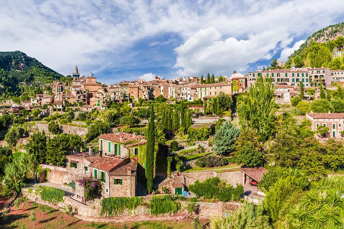 Palma De Mallorca Shore Excursion: Private Tour of Valldemossa, Soller and Serra De Tramuntana - The Sum Up