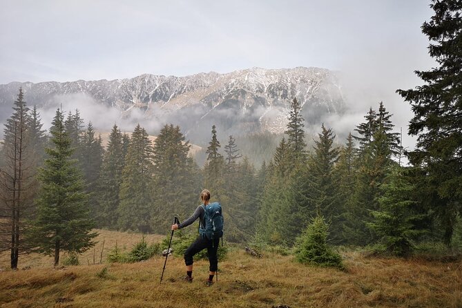 Pestera and Magura Full-Day Private Walking Tour From Brasov - Discovering Pestera Village