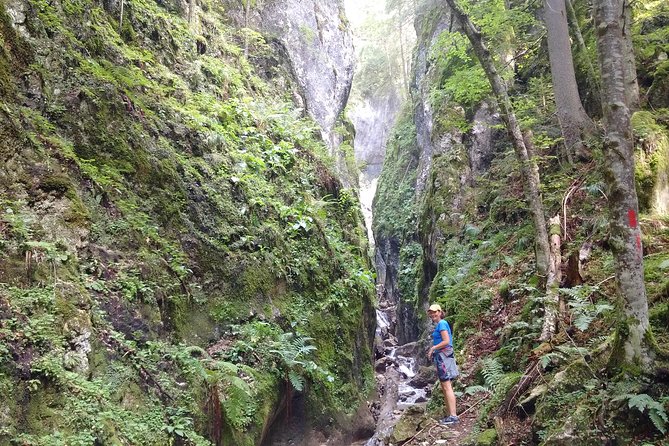 Piatra Craiului National Park Private Hiking Tour From Brasov - Preparation and Considerations