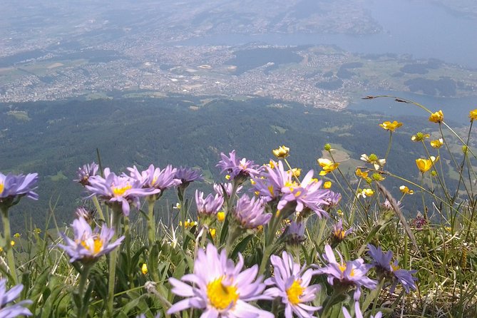 Pilatus Panorama: Exclusive Private Golden Round Trip From Luzern - Highlights of the Tour