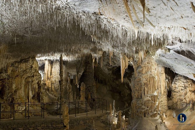 Postojna Cave, Predjama Castle and Piran Tour From Ljubljana - Traveler Reviews and Recommendations