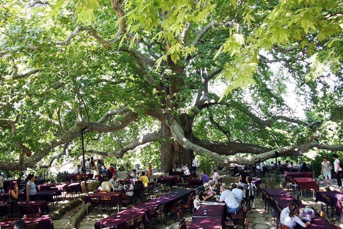Premium Bursa and Uludag Tour - (Breakfast-Lunch Included) - Additional Notes