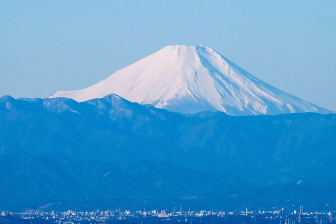 Private Airport Transfer Haneda Airport(HND) to Tokyo City - Common Questions