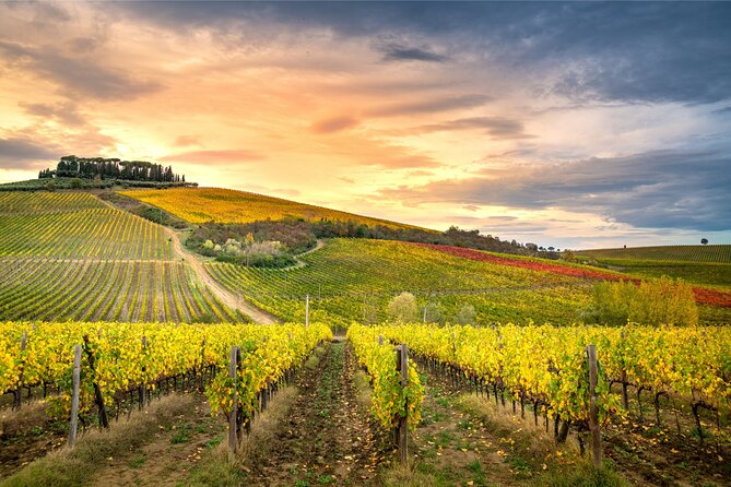 Private Day Tour From Florence to Pisa, Chianti and San Gimignano - Booking and Pricing Information