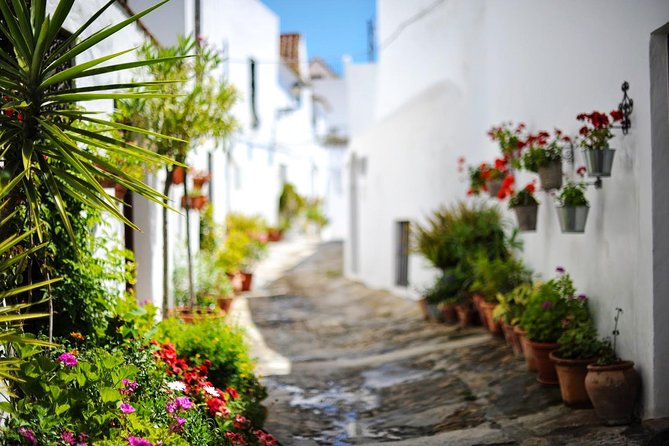 *Private Day Trip* Gibraltar and Vejer From Cádiz - Planning Your Trip