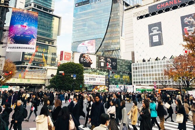 Private Full-day Tokyo Walking Subway Tour by Japan Gray Line - Customizing the Itinerary for Your Needs