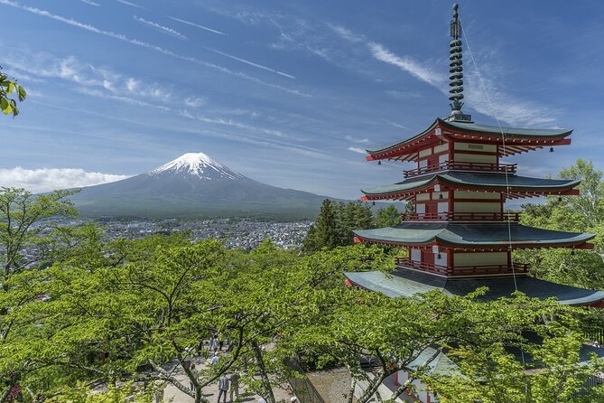 Private Mt Fuji, Hakone and Tokyo Tour - English Speaking Driver - Discovering Tokyo