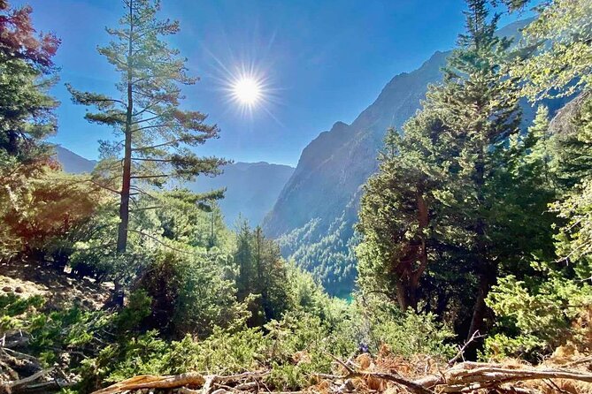 Private Roundtrip Transfer From Chania to Samaria Gorge Park - Since You Asked