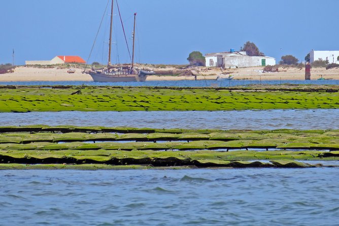 Private Sightseeing Boat Tour in Ria Formosa at Olhão - Sunbathing and Swimming at Armona Beach